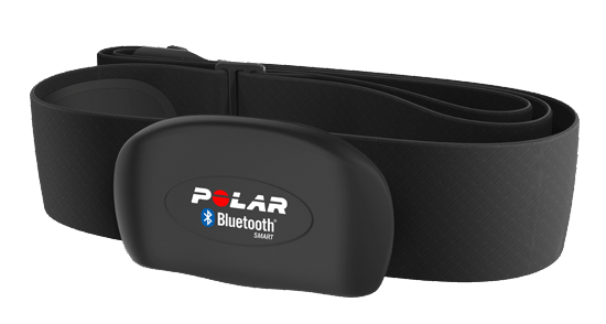 POLAR H10 chest belt – Nerve Express